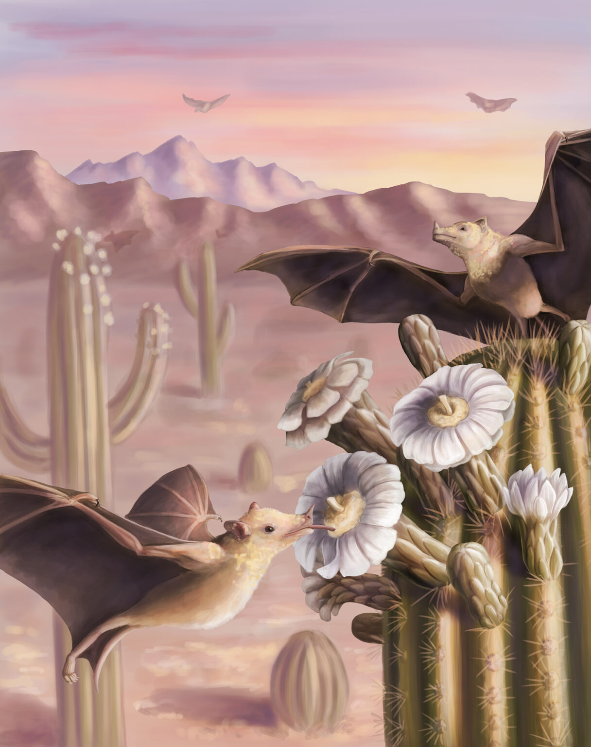 Brie Hill – Academy of Art University Spring Show