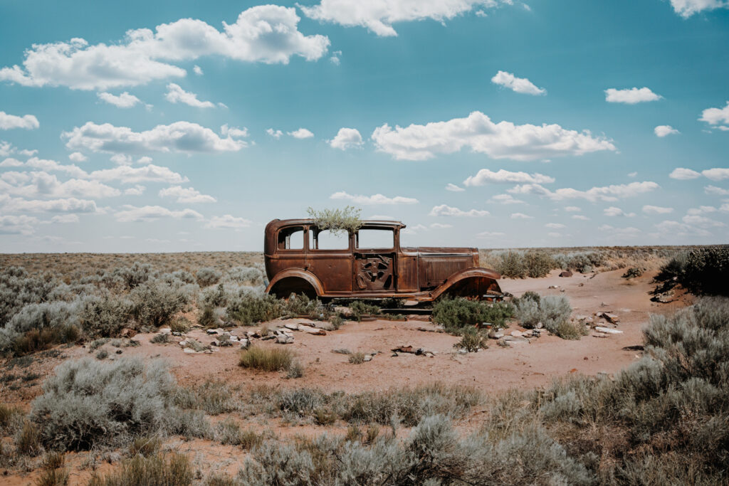 KC Knoop – Academy of Art University Spring Show
